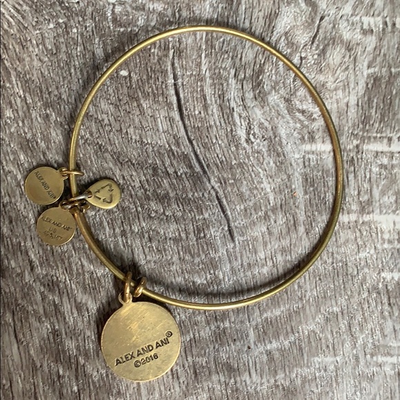 Alex and Ani | Jewelry | Alex And Ani Bracelet M | Poshmark